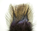 CDL Feathers | FLY SHOP Europe